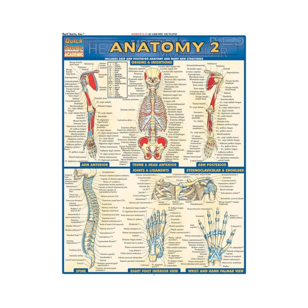 Anatomy 2 Quick Study Guide | ISU Book Store